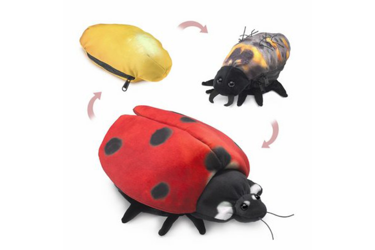 Handpuppe Marienkäfer | PHBern